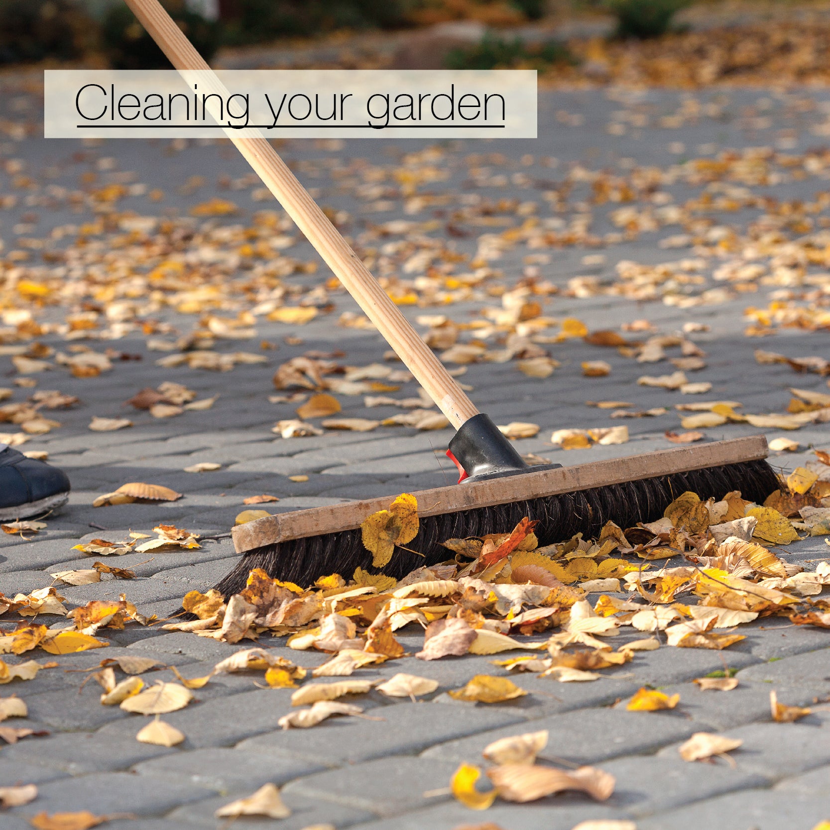 Cleaning Your Garden – The Dustpan and Brush Store